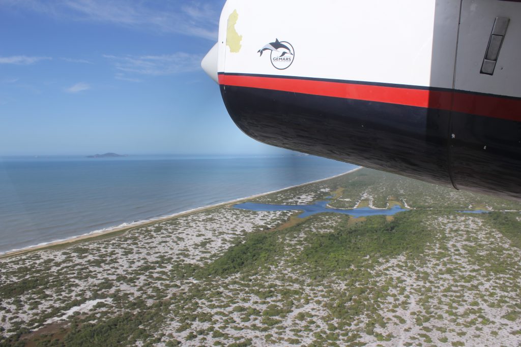 fma1b_PHOtt_Gemars_Funbio (20)