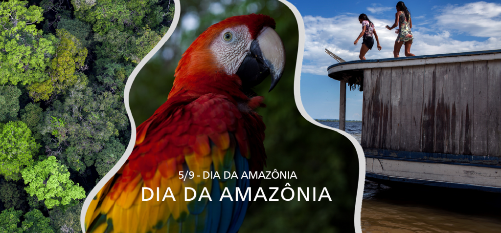Banner Dia da Amazonia