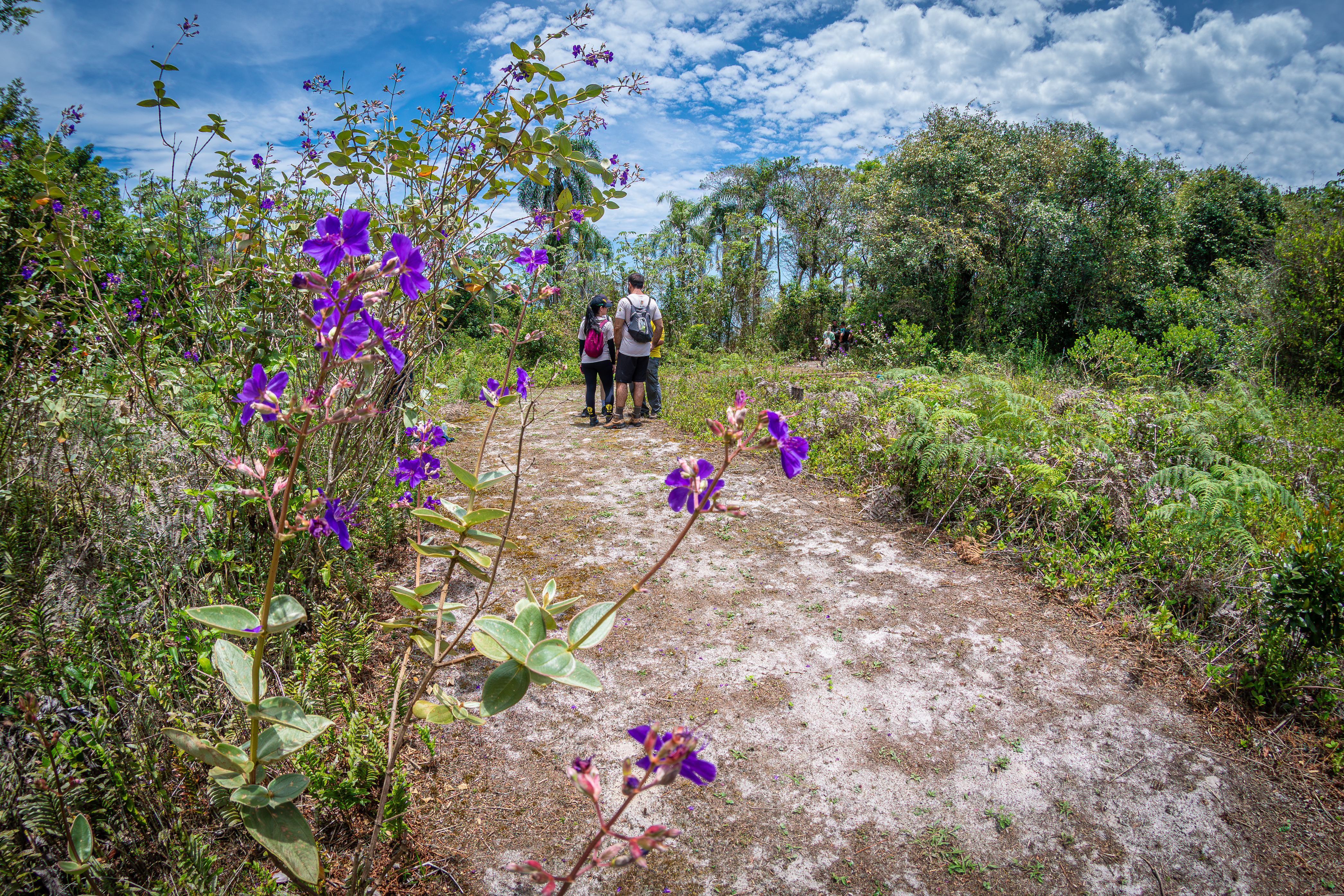 Parque Nacional do Superagui inaugura primeira trilha para ciclistas e ...