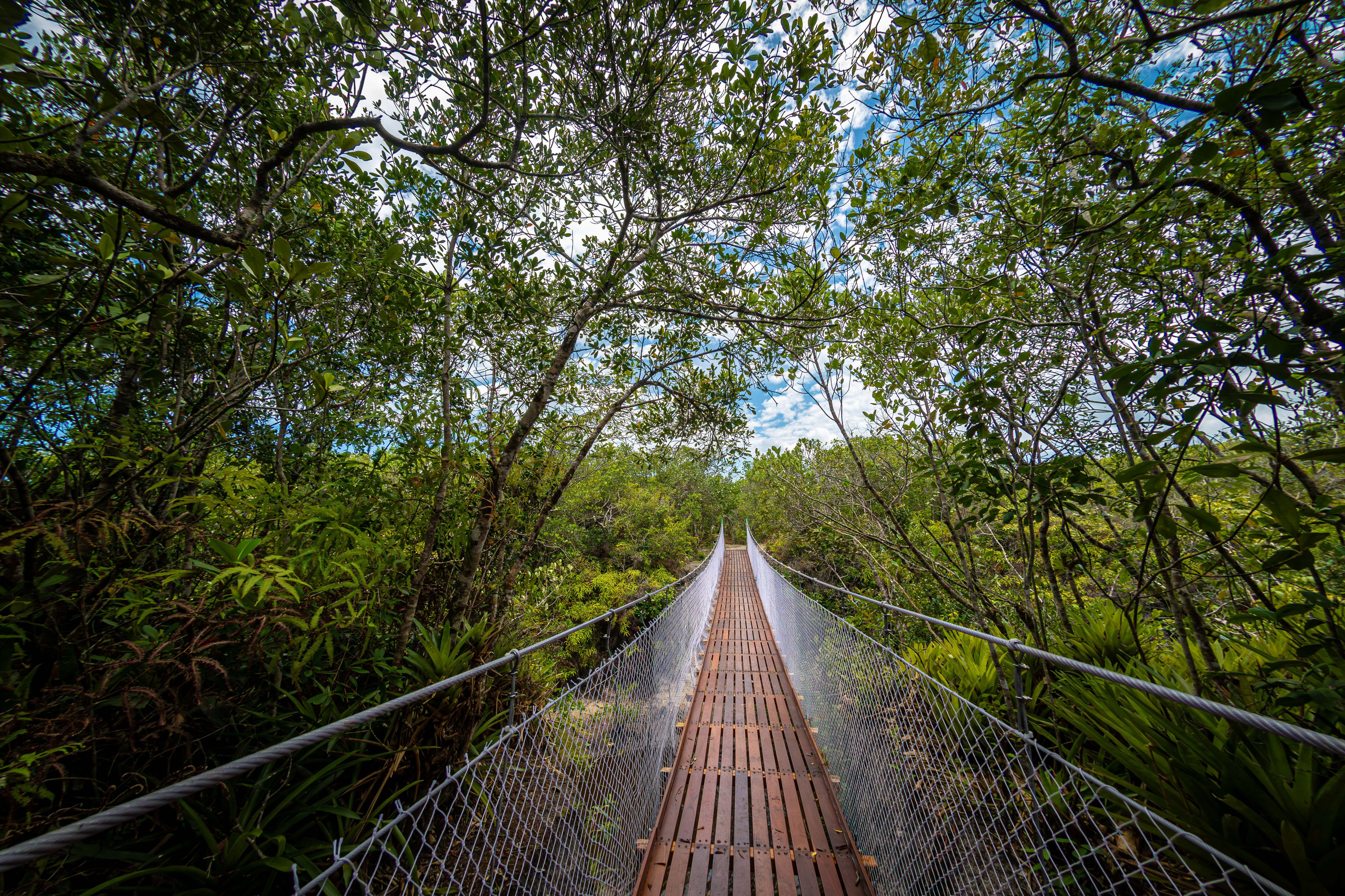 Parque Nacional do Superagui inaugura primeira trilha para ciclistas e ...